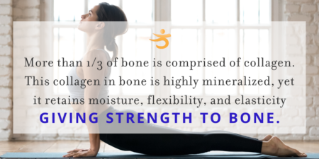 Should I Take Collagen for Osteoporosis? - Better Bones, Better Body